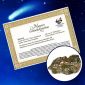 Echter Meteoritensplitter - Meteoritenstück & Echtheitszertifikat