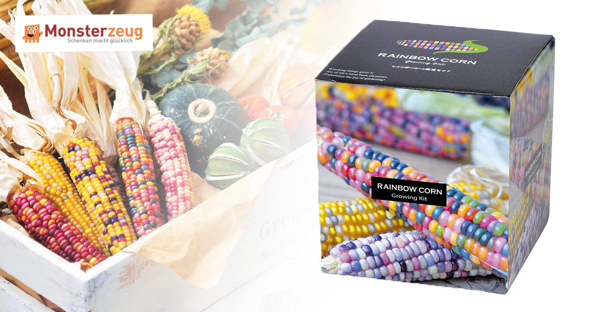 Bunter Mais Saatgut - Rainbow Corn Samen für essbaren Mais